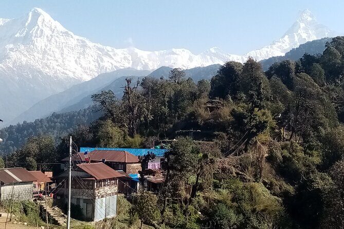 Pokhara: Annapurna Base Camp Trek Multi-Day Guided Tour - Day 8: Return to Pokhara