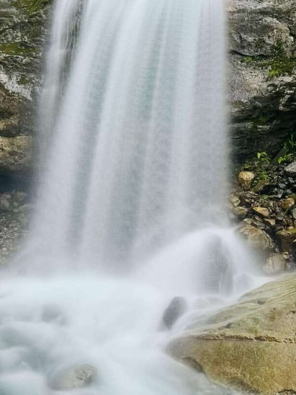 Pokhara: Annapurna Base Camp Trek & Wildlife Safari Tour - Who Will Love This Tour?