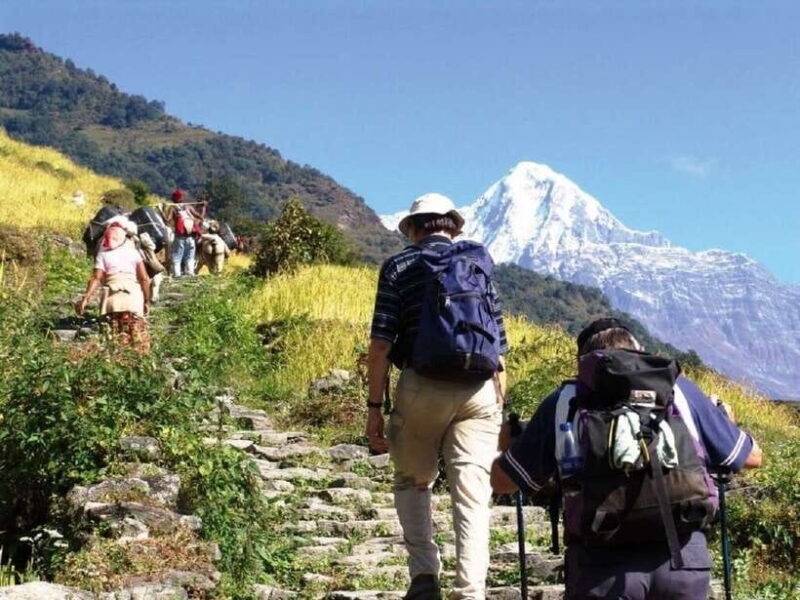 Pokhara: Annapurna Day Hike with Panoramic Views - Key Points