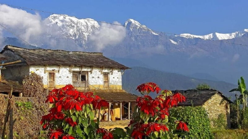 Pokhara: Annapurna Day Hike with Panoramic Views - Transport and Timing