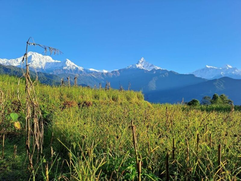 Pokhara: Australian Camp & Dhampus Village Group Join Hike - Introduction