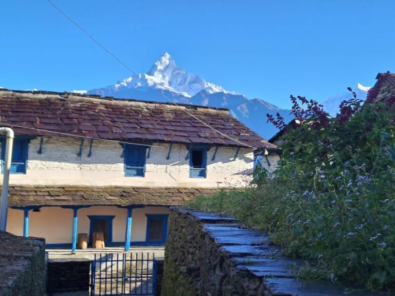 Pokhara: Australian Camp & Dhampus Village Group Join Hike - What Makes This Tour Stand Out?