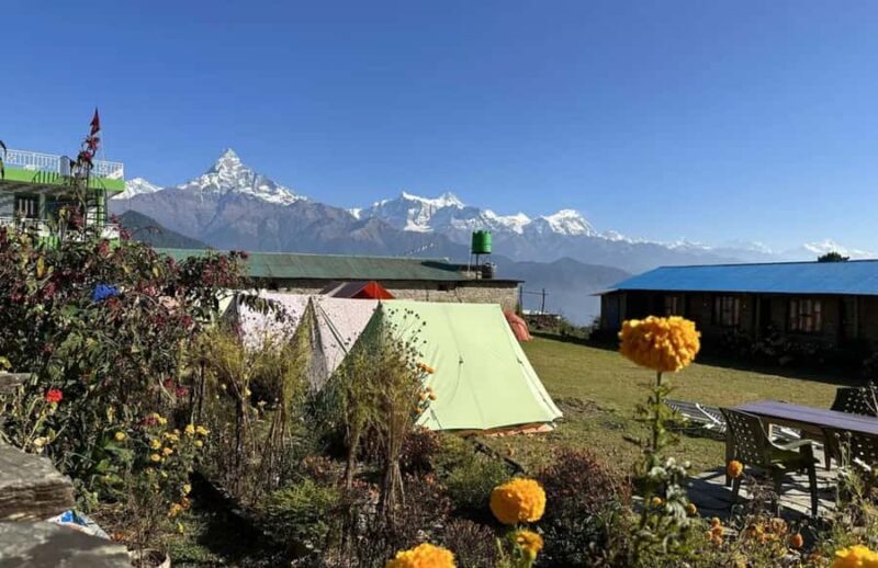 Pokhara: Australian Camp Hiking with Japanese Guide - Authenticity & Review Insights