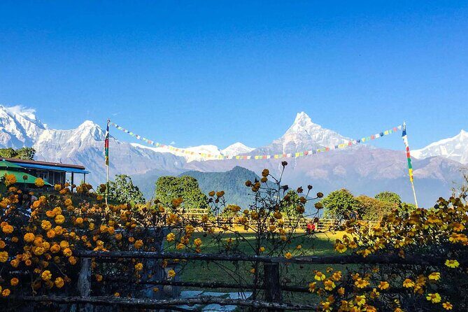 Pokhara: Day Hike at Annapurna Mountain Foothills - What Travelers Say