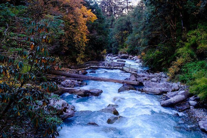 Pokhara: Day Hike at Annapurna Mountain Foothills - The Practical Side: Transportation, Price, and Group Size