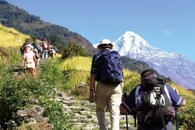 Pokhara: Day Hike at Annapurna Mountain Foothills - Final Thoughts: Who Will Love This Tour?