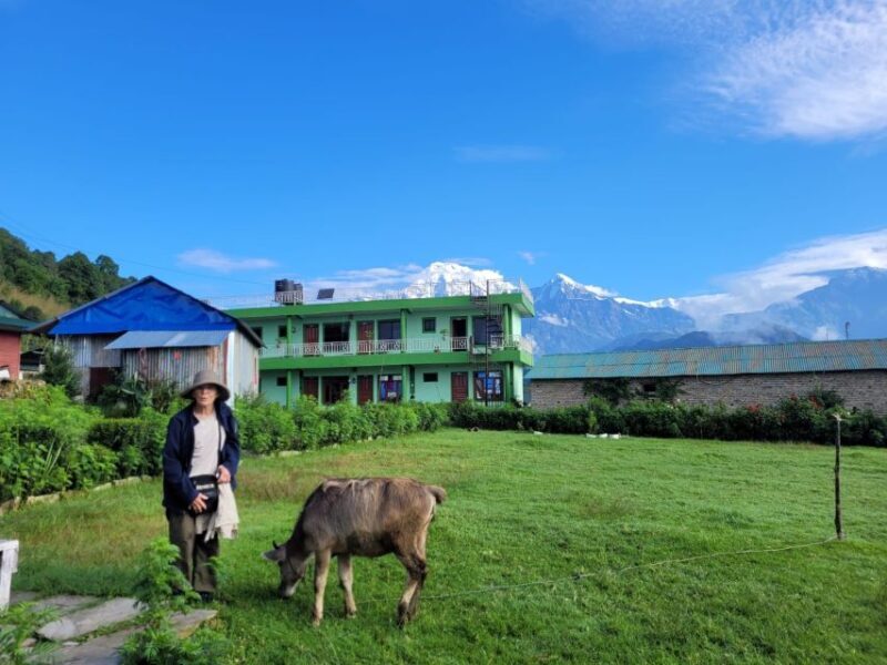 Pokhara: Day Hike to Australian Camp and Dhampus Village - The Journey from Pokhara: What to Expect