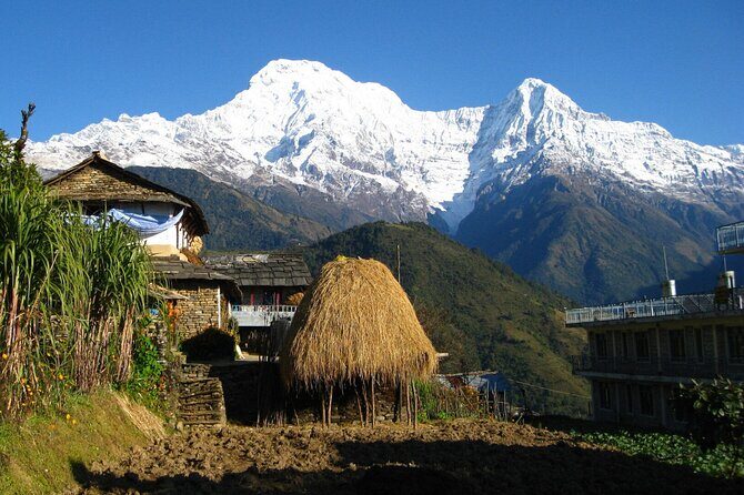 Pokhara: Dhampus Easy Trek for Families with YoungKids 2 Day Tour - Key Points