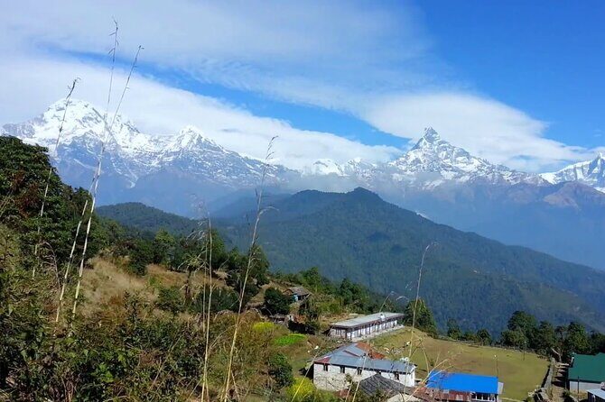 Pokhara: Dhampus Easy Trek for Families with YoungKids 2 Day Tour - Who Should Consider This Tour?