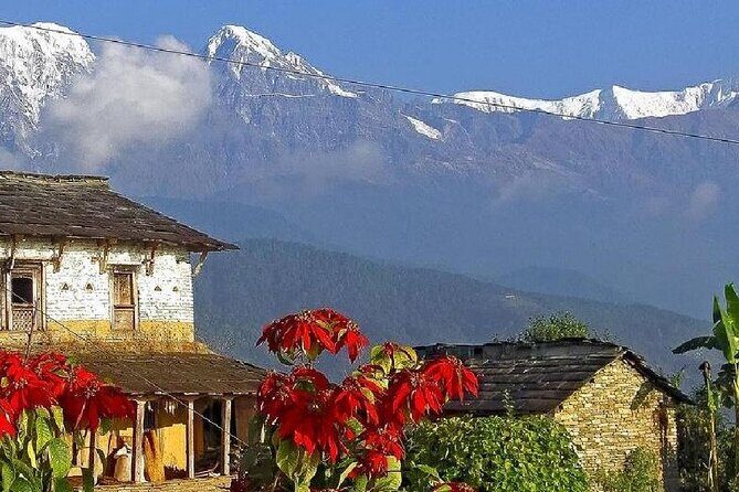 Pokhara: Dhampus Easy Trek for Families with YoungKids 2 Day Tour - Final Thoughts