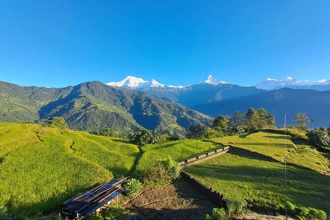 Pokhara: Easy Day Hike to Australian Camp & Dhampus Village - Who Is This Tour Best For?