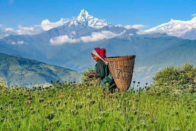 Pokhara: Easy Day Hike to Korean Preferences Place - Final Thoughts