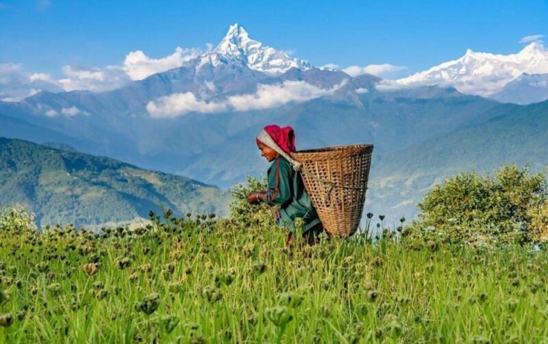 Pokhara : Easy Dhampus & Astam Village Day Hike - A Balanced Perspective