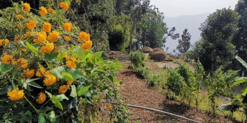 Pokhara: Full Day Easy Hiking to Annapurna Panorama - FAQs