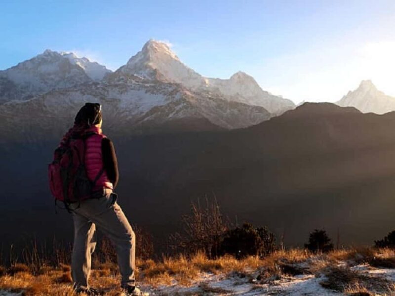 Pokhara: Ghorepani-Poon Hill Trek 2-Days/3-Days/4-Days - Why Choose This Trek?