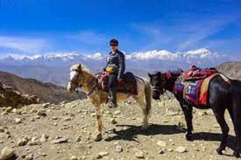 Pokhara: Horseback Riding Adventure with Hotel Pickup - Why This Tour Could Be Perfect for You