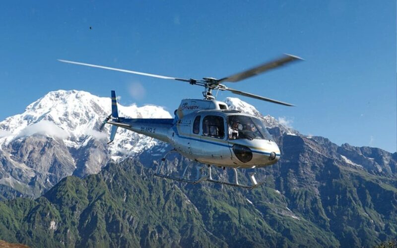 Pokhara: Mardi Himal Base Camp Helicopter Tour - Authentic Feedback from Past Travelers