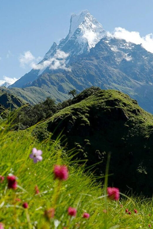 Pokhara: Mardi Himal Base Camp Helicopter Tour - The Sum Up: Who Is This Tour Perfect For?