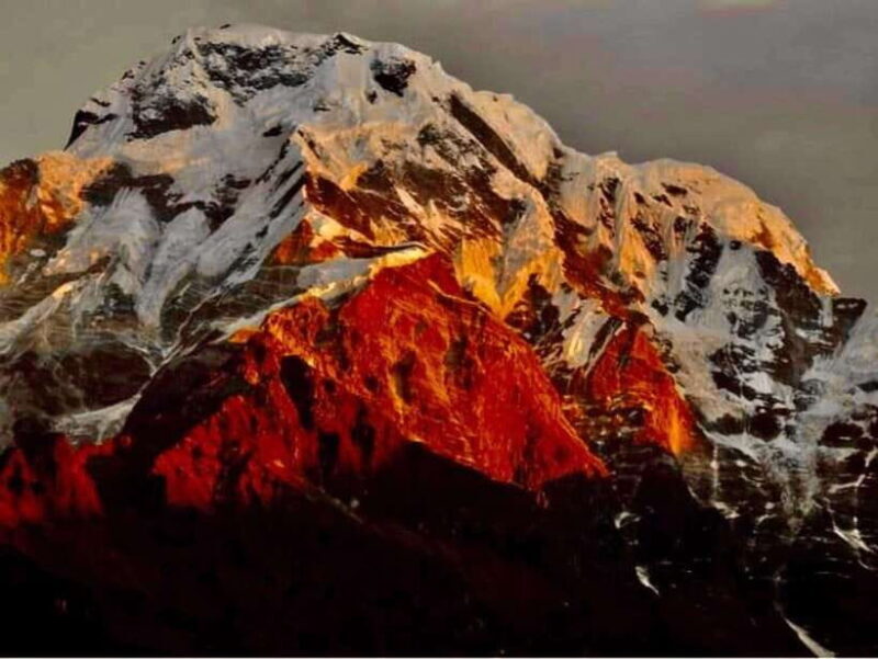 Pokhara: Mardi Himal Trek with 1 Night in a Forest Camp - Key Points