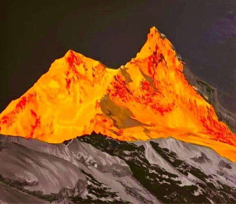 Pokhara: Mardi Himal Trek with 1 Night in a Forest Camp - Transportation & Logistics: Making It Easy