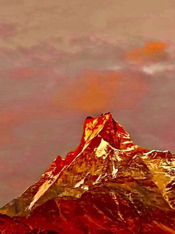 Pokhara: Mardi Himal Trek with 1 Night in a Forest Camp - Final Thoughts: Who Is This Trek For?