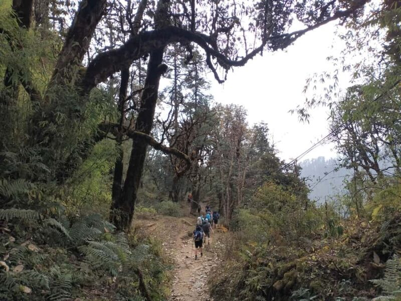 Pokhara: Mulde Hidden Lake, Annapurna Base Camp Adventure - What Makes This Tour Stand Out?