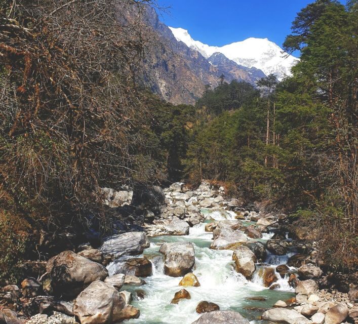 Pokhara: Natural Himalayan River Swim Experience Package - Final Thoughts on Value and Experience