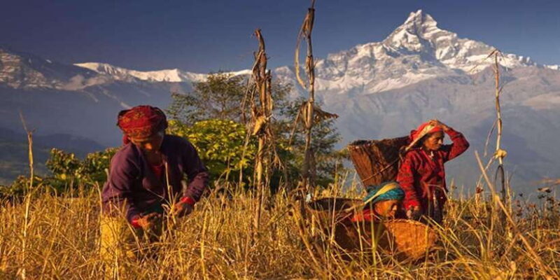 Pokhara: Naudanda Sunset Tour by Car with Hotel Pickup - FAQs