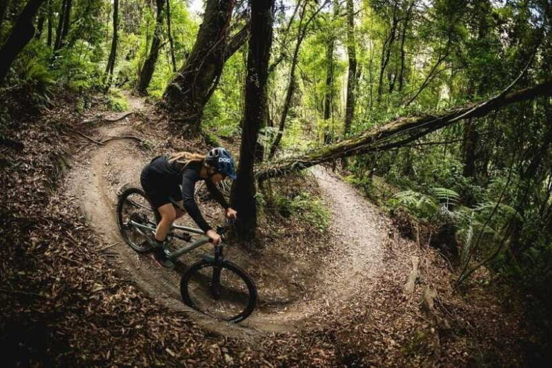 Pokhara: Peace Pagoda to Pokhara Downhill Mountain Bike Ride - Final Thoughts: Is This Tour for You?