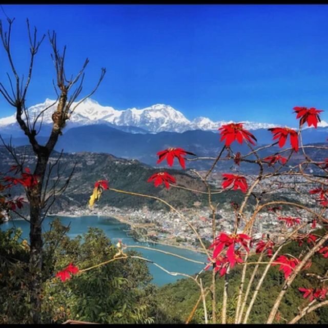 Pokhara: Pokhara Highlights Tour by Bus - Cultural and Religious Sites
