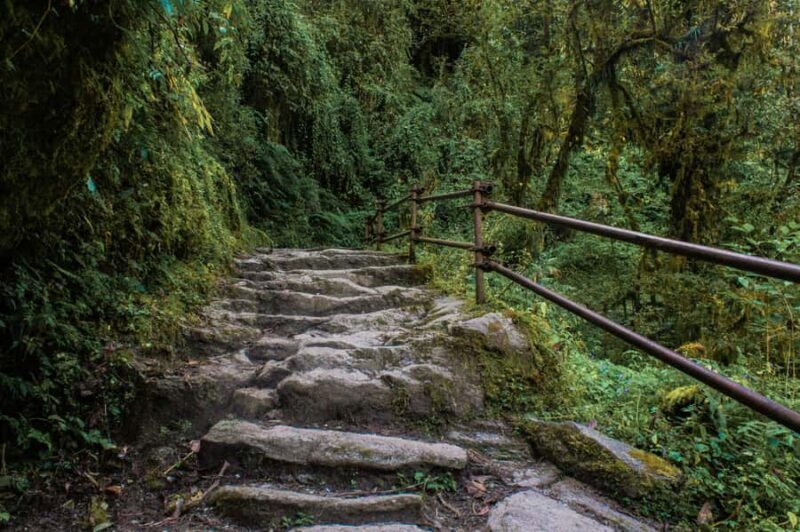 Pokhara: Poon Hill Culture Trek & Village Homestays (4-Day) - Final Thoughts: Is This Trek Right for You?