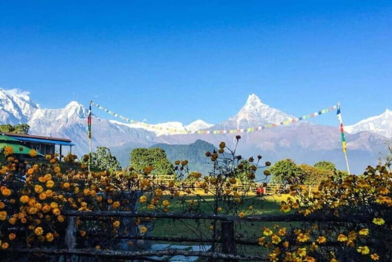 Pokhara: Poon Hill Trek - Key Points