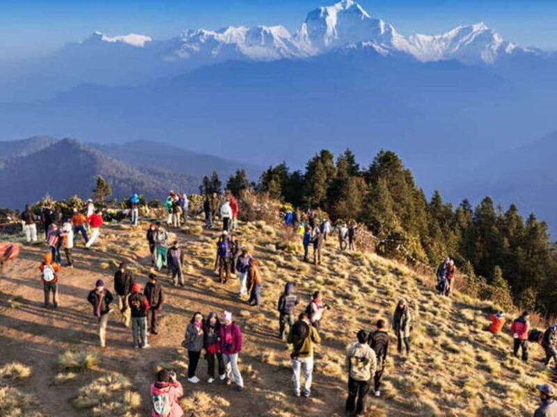 Pokhara: Poon Hill Trek - What Travelers Can Expect
