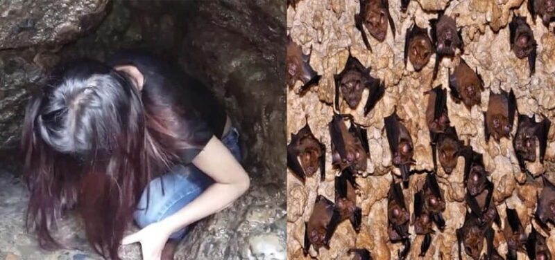 Pokhara: Private Full-Day Tour to 7 Iconic Attractions - The World Peace Pagoda: Panoramic Mountain Views