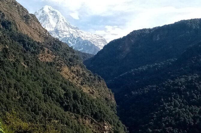Pokhara Private Tour: 10 Days ABC Trek with Poon Hill - The Adventure Begins: Day-by-Day Breakdown