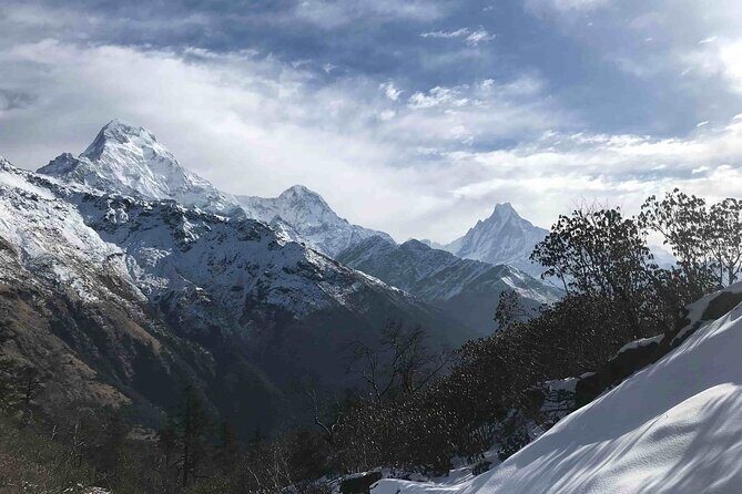 Pokhara Private Tour 2 Day Poon Hill Short Trek - The Itinerary: A Step-by-Step Breakdown