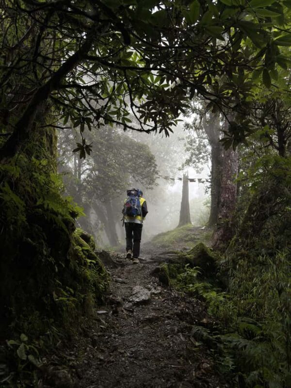 Pokhara: Queen Forest Hike to Santi Stupa & Lake Boating - An In-Depth Look at the Queen Forest Hike to Santi Stupa & Lake Boating