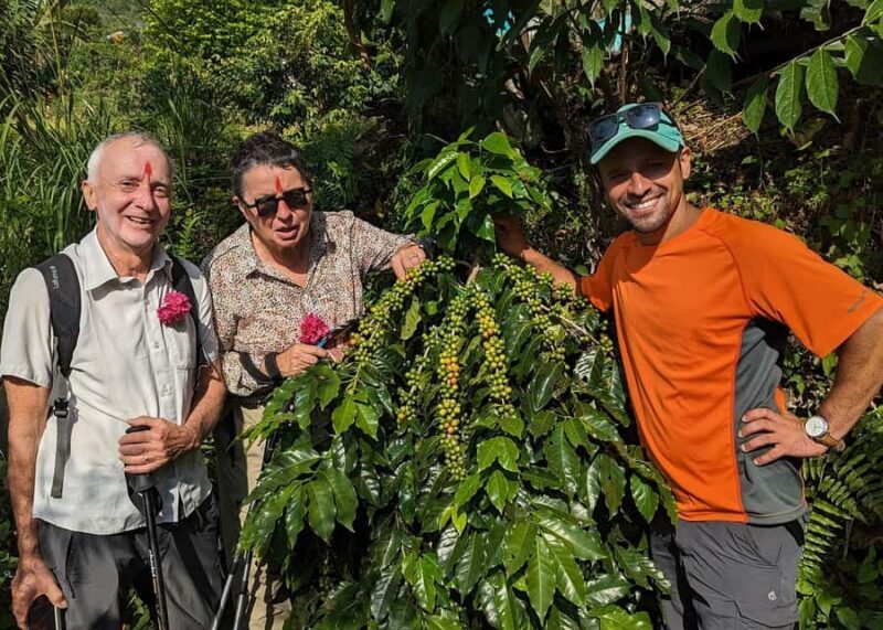 Pokhara: Sarangkot Village Coffee Culture & Local Life Hike - An In-Depth Look at the Sarangkot Coffee & Local Life Hike