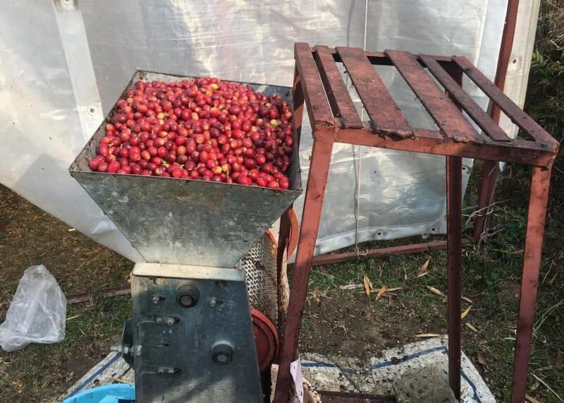 Pokhara: Sarangkot Village Coffee Culture & Local Life Hike - Final thoughts: Is this tour right for you?