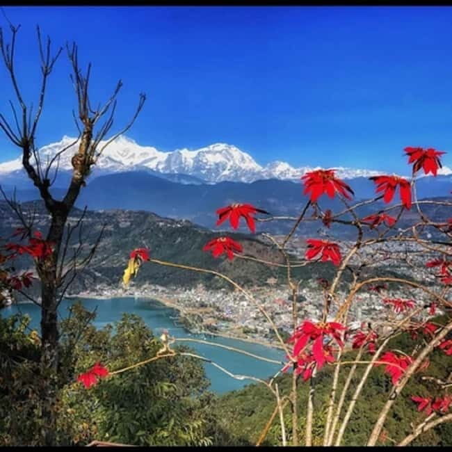 Pokhara: World Peace Pagoda Private Guided Tour - Final Thoughts