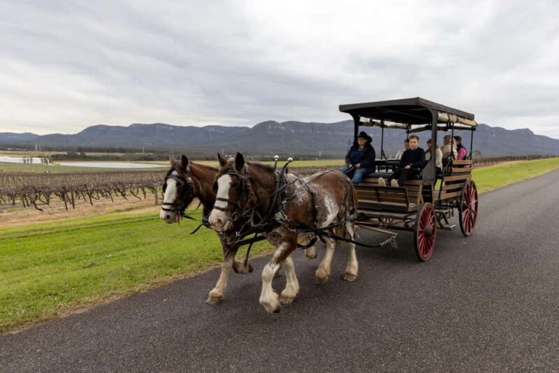 Pokolbin: Harvest the Hunter Horse Drawn Carriage Tour 3hrs - A Relaxed Slice of Hunter Valley: Harvest the Hunter Horse-Drawn Carriage Tour