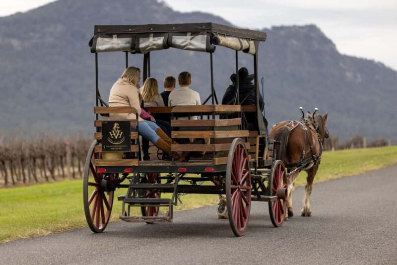 Pokolbin: Harvest the Hunter Horse Drawn Carriage Tour 3hrs - Price, Duration, and Practicalities