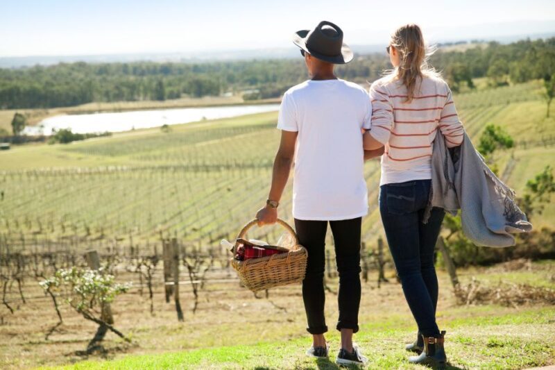 Pokolbin: Picnic & Wine Tasting at Audrey Wilkinson Vineyard - Introduction: A Well-Rounded Vineyard Experience