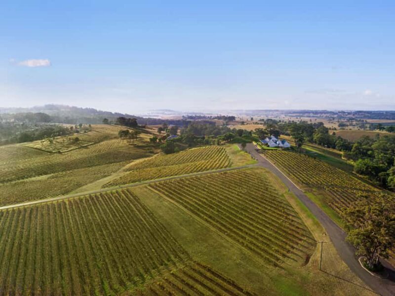 Pokolbin: Picnic & Wine Tasting at Audrey Wilkinson Vineyard - In-Depth: The Value and Unique Qualities