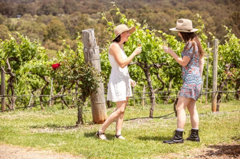 Pokolbin: Picnic & Wine Tasting at Audrey Wilkinson Vineyard - The Bottom Line: Who Should Book?