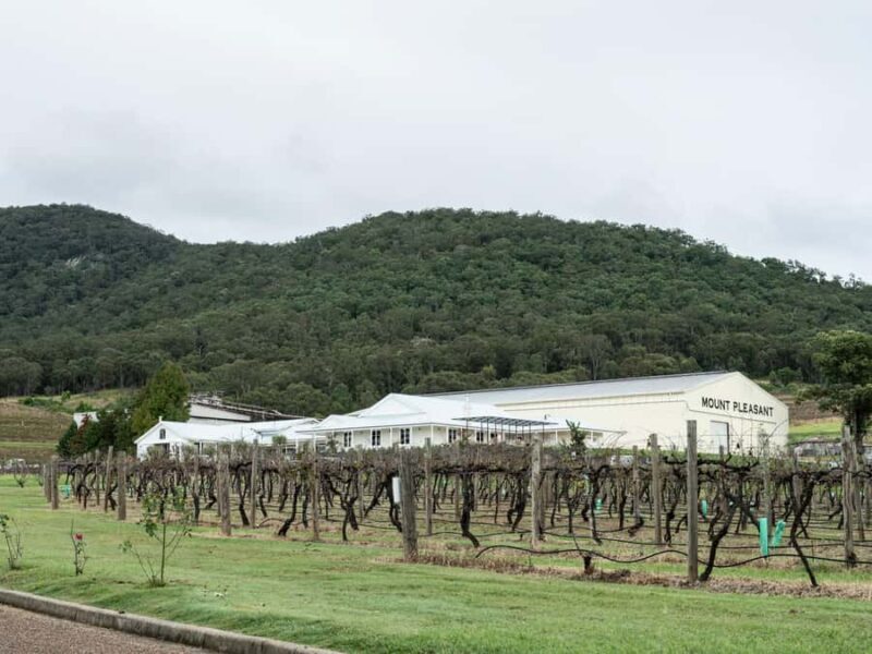 Pokolbin: The Mother Vine Experience | Tour and Wine Tasting - The Logistics and Practicalities