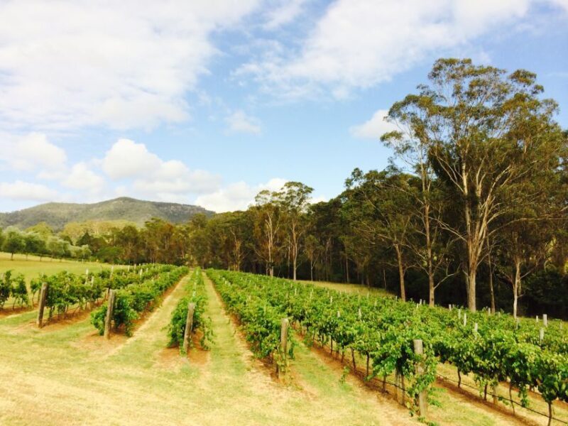 Pokolbin: Tulloch Hunter Heroes Wine Tasting & Cheese Board - Why This Tour Works