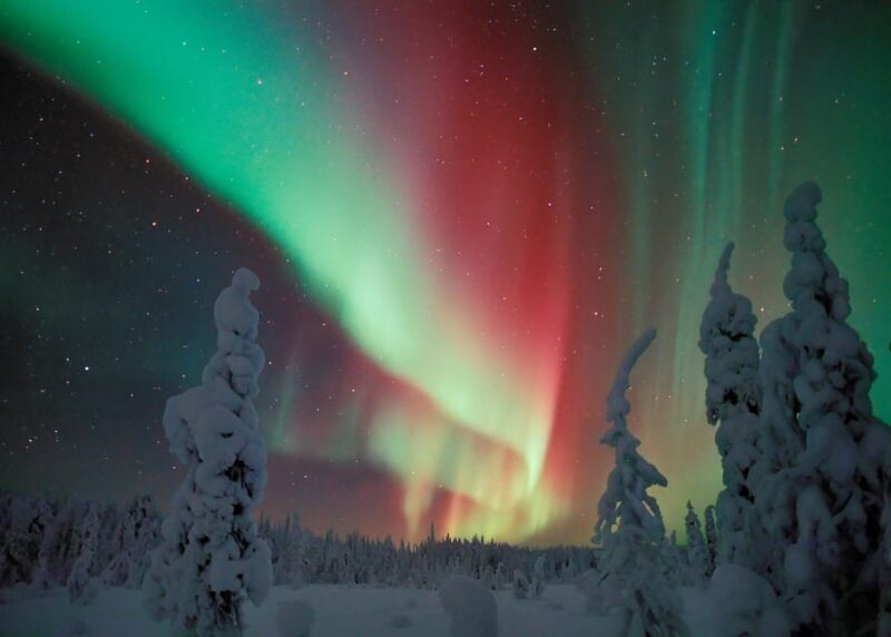 Polar Night Snowshoe Trek - Discovering the Polar Night Snowshoe Trek in Lapland