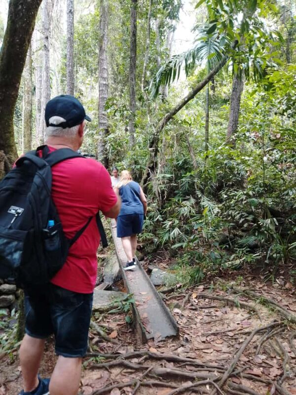 Polgampola Waterfall Tour by Tuk Tuks From Bentota area - Key Points
