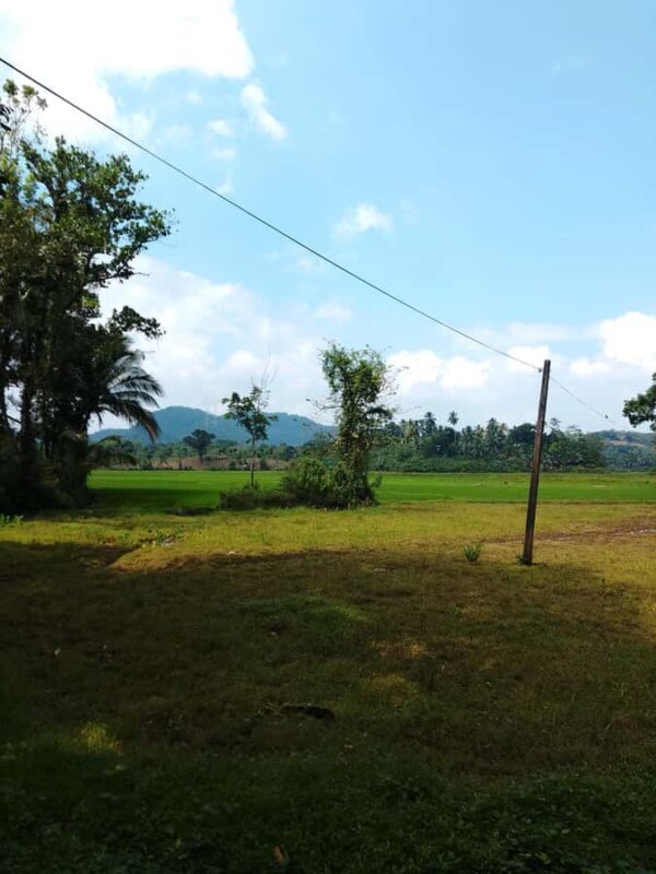 Polgampola Waterfall Tour by Tuk Tuks From Bentota area - A Closer Look at the Tour Experience